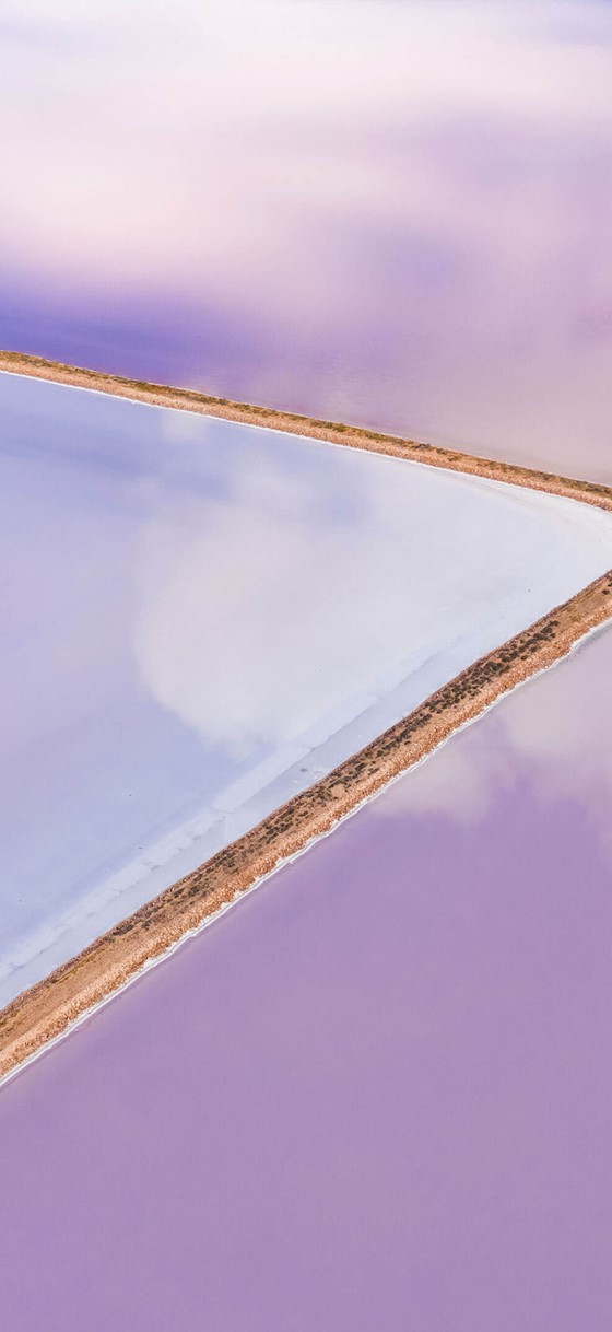 Pretty in pink by Microsoft | Wallpapers | WallpaperHub