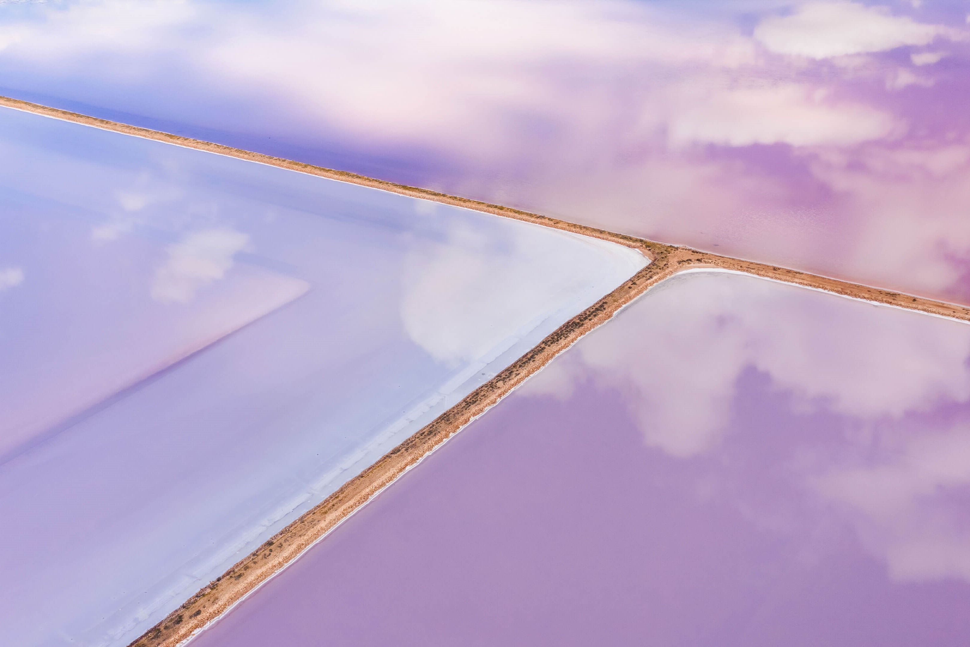 Pretty in pink by Microsoft | Wallpapers | WallpaperHub