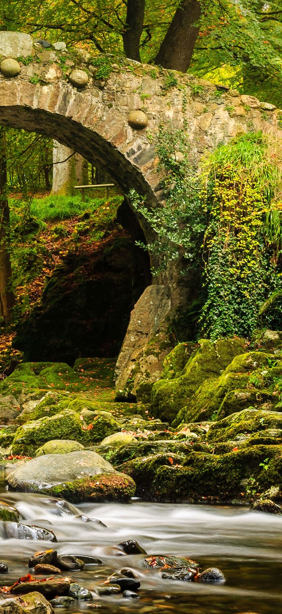 A fantastical forest park by Microsoft | Wallpapers | WallpaperHub