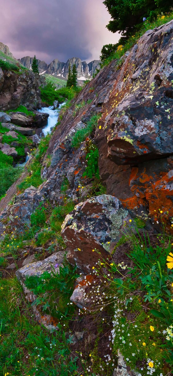 High alpine colour in Colorado, USA by Microsoft | Wallpapers ...