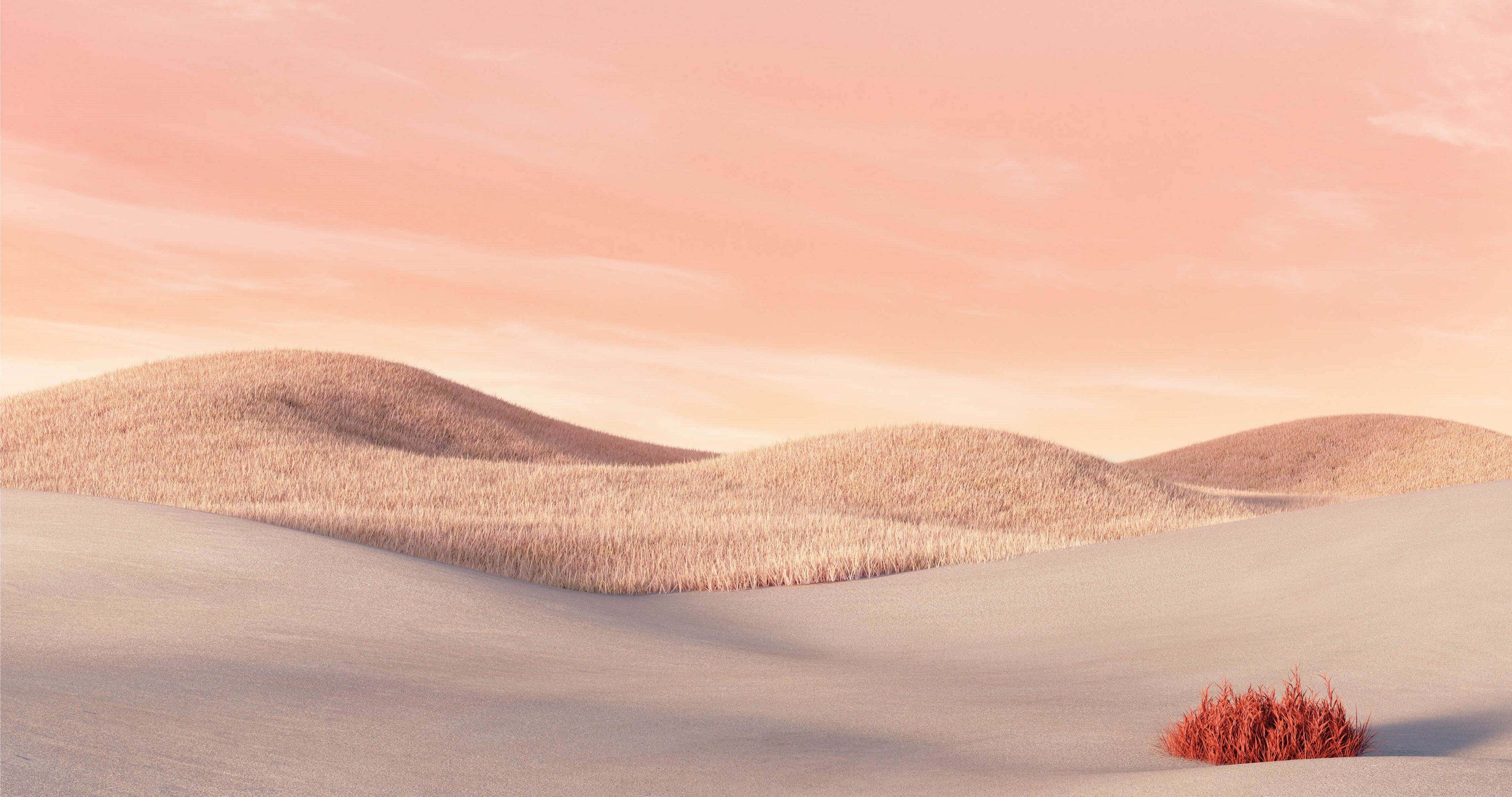 Surface Laptop Go - Sandstone by Microsoft | Wallpapers | WallpaperHub